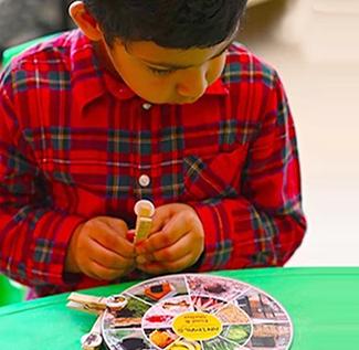 Brainy Bear Store: Brain Development Toys and Resources – The Brainy ...